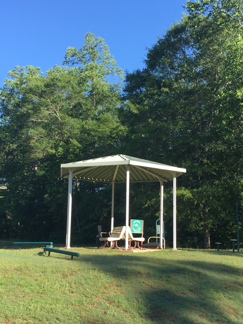 Photo-Blog: Laurel Park, Spring 2017 | Nan Monroe