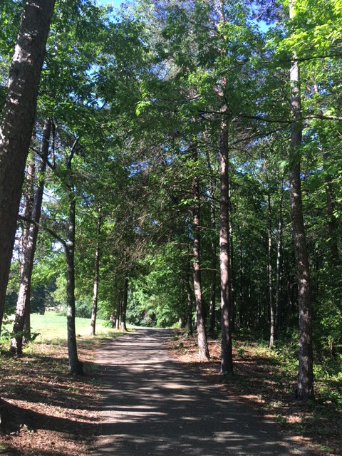 Photo-Blog: Laurel Park, Spring 2017 | Nan Monroe